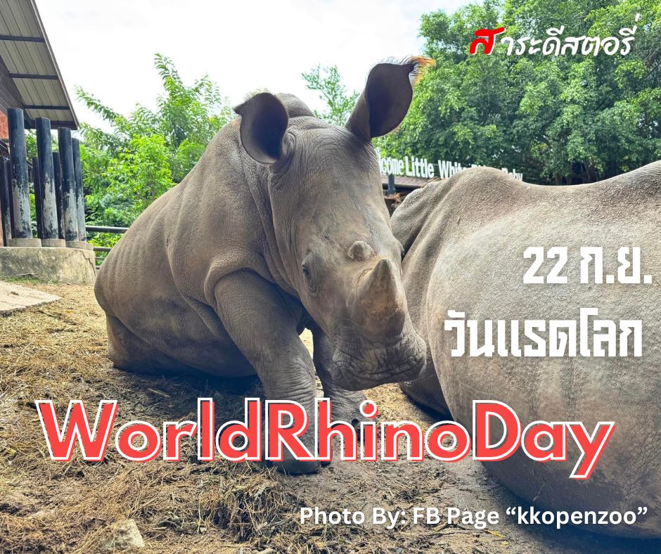 Saradee Story | 22 กันยายน วันอนุรักษ์แรดโลก (World Rhino Day)